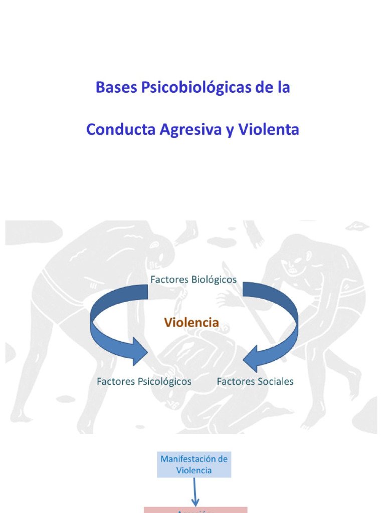 Bases Psicobiológicas de La Conducta Agresiva y Violenta | PDF