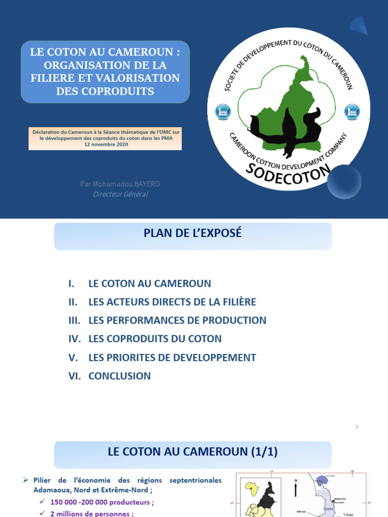 Filière Coton au Cameroun et SODECOTON | PDF | Graine de coton | Coton