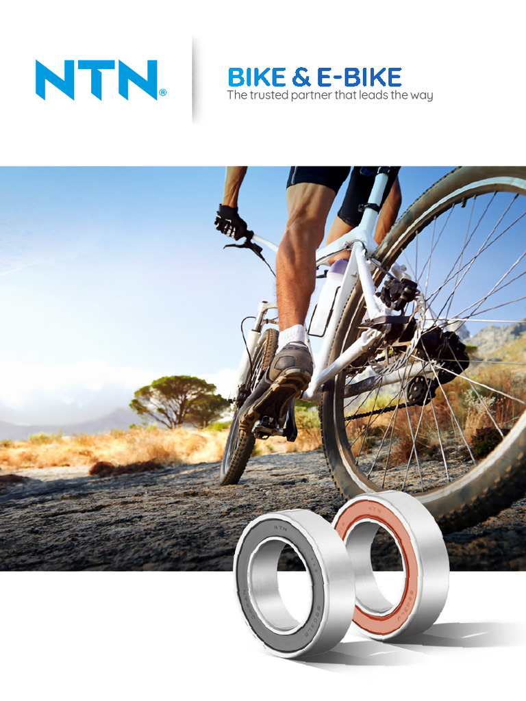 I EBIKE ARG1 A4 GBa-WEB 0 | PDF | Bearing (Mechanical) | Mechanical Engineering