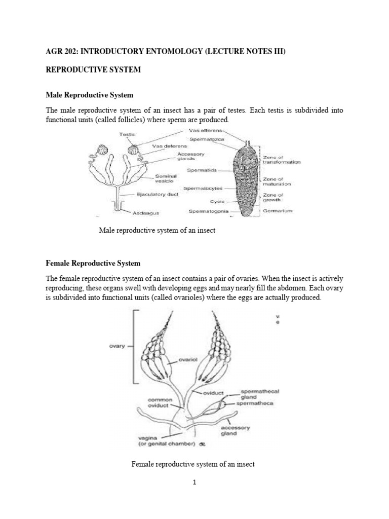 AGR 202 - Introductory Entomology - Lecture Note III | PDF | Parasitism | Pest (Organism)