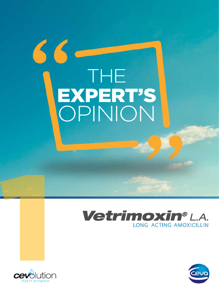 Swine Antibiotics: Amoxicillin Use | PDF | Beta Lactamase | Pig