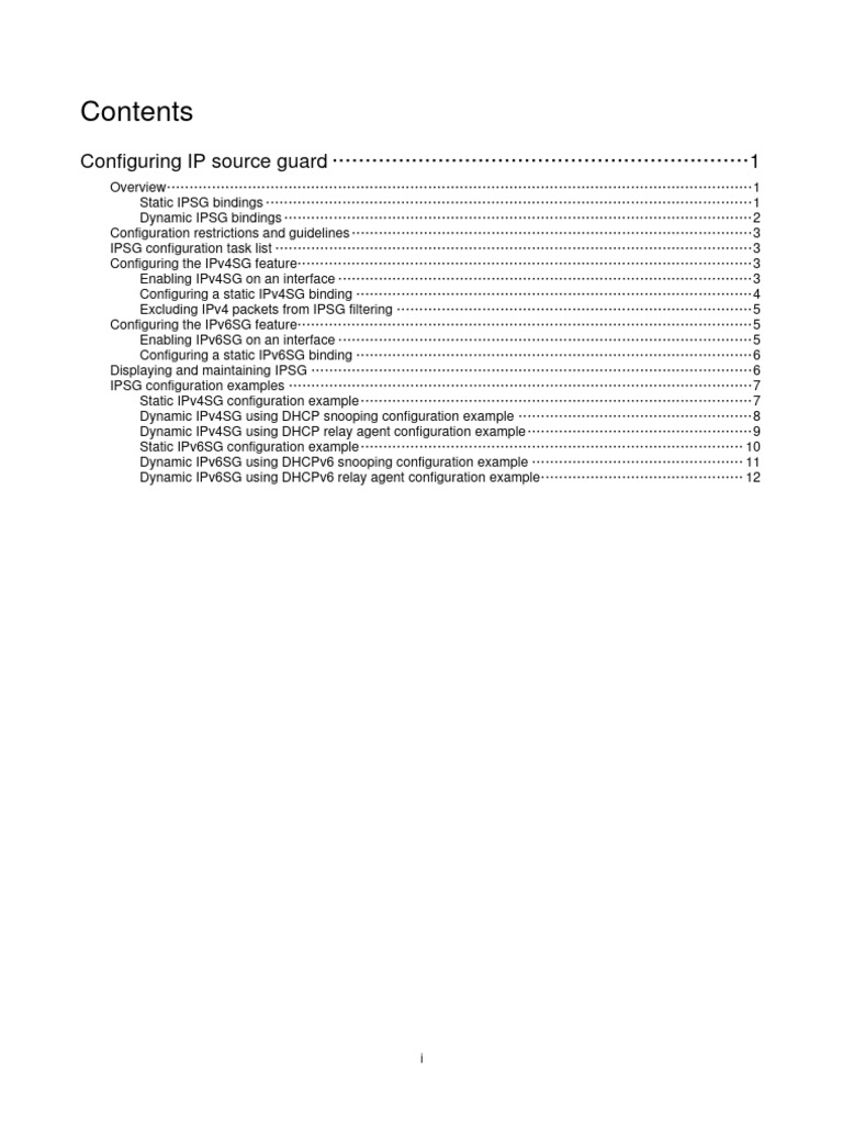 17 Ip Source Guard Configuration Pdf Ip Address I Pv6