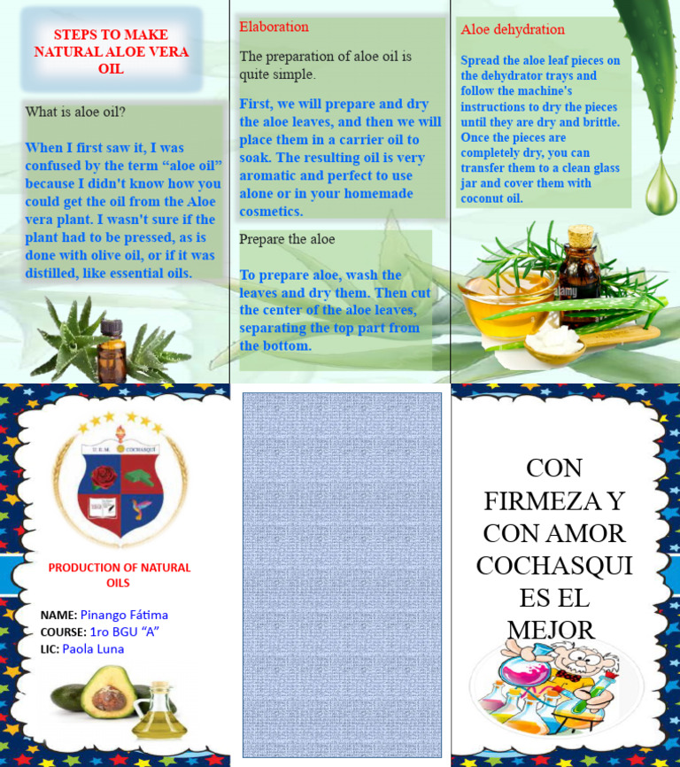 Triptico Ingles 1ro Bgu A | PDF