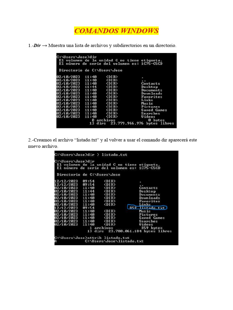 Comandos Windows Javier | PDF