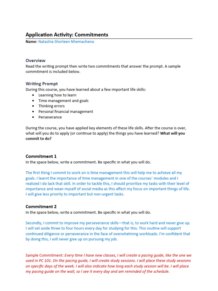 pc101 w07 Applicationactivity Commitmentstatements Template | PDF ...
