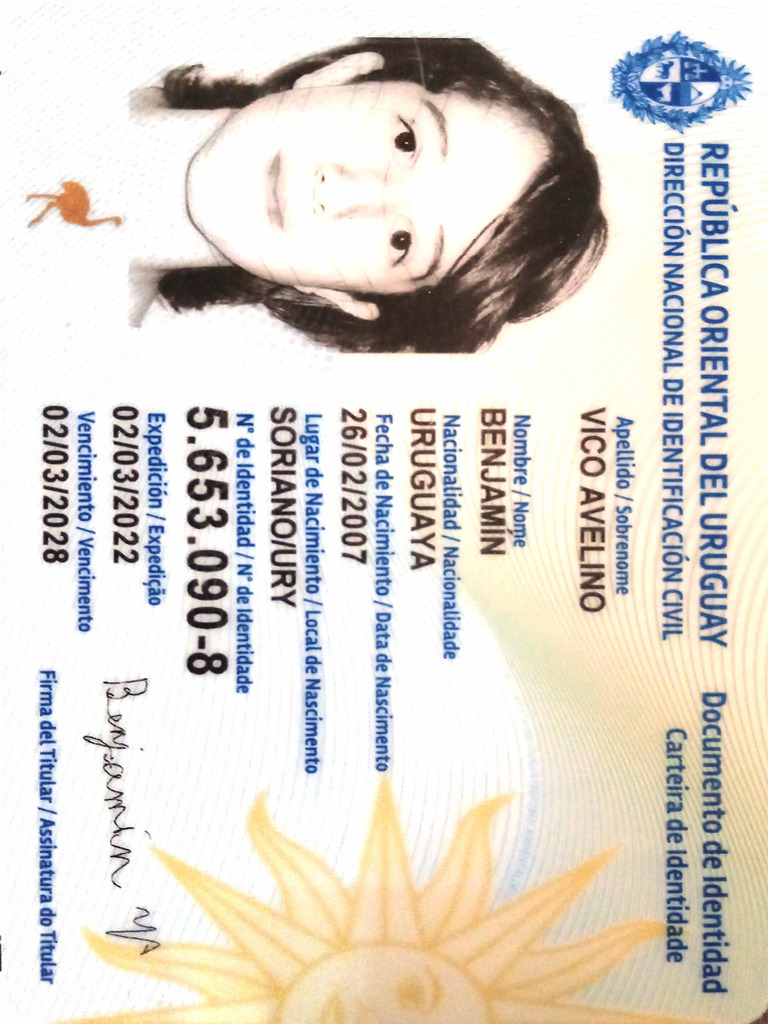 Cédula Benjamín Vico | PDF