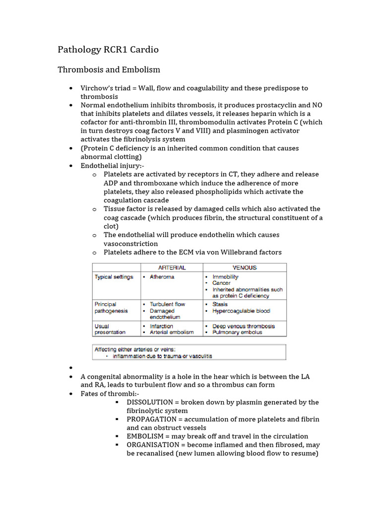 Pathology RCR1 Cardio | PDF | Thrombus | Heart