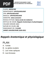 Anatomie du Corps Géniculé Latéral | PDF | Système visuel | Vision