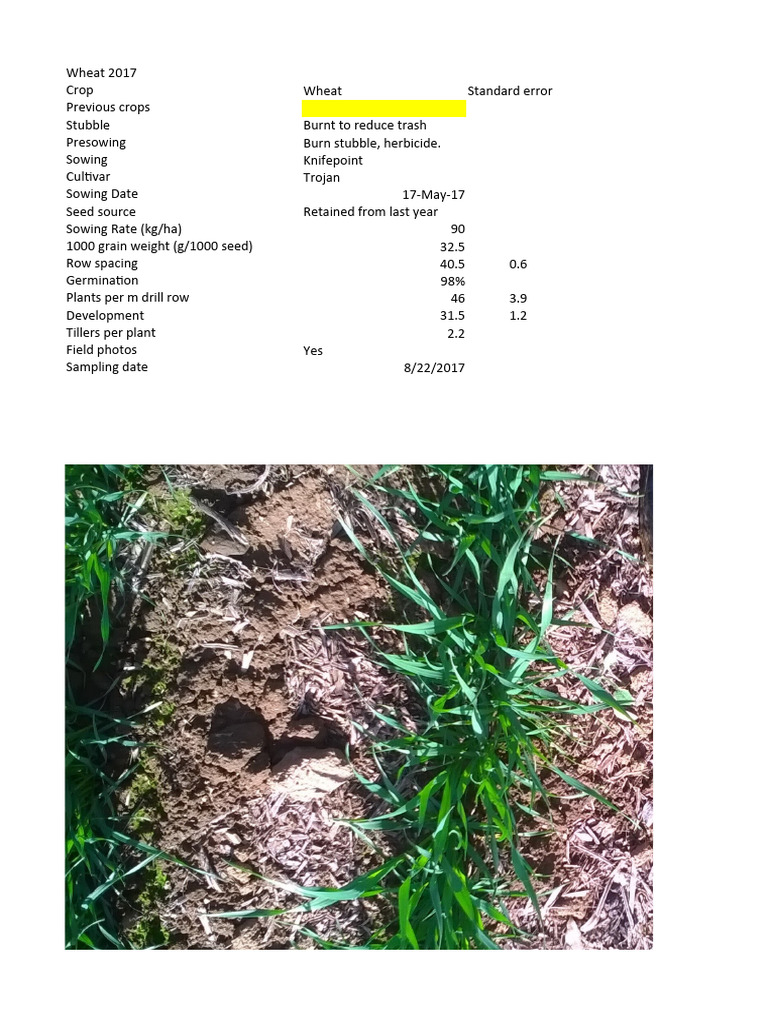 Crop Profiles | PDF | Sowing | Wheat