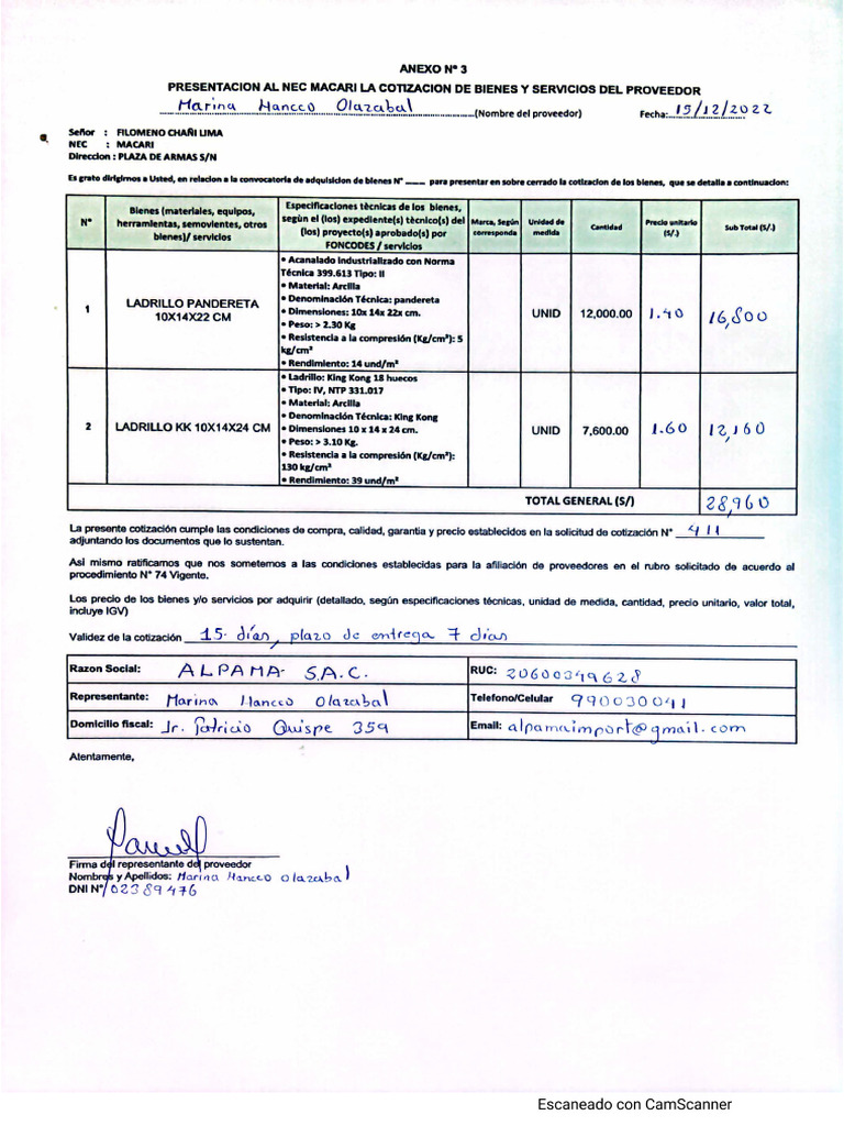 Ejemplo de Llenado | PDF
