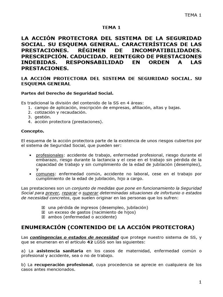Tema 1 Prestaciones SS Aspectos Generales de La Accion Protectora | PDF ...