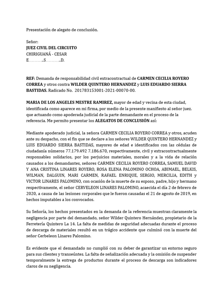 Presentación de alegato de conclusión | PDF | Caso de ley