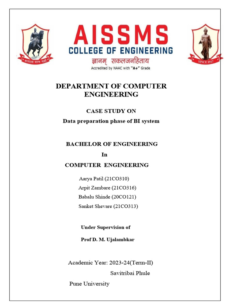 Data Preparation Activity | PDF | Analytics | Business Intelligence