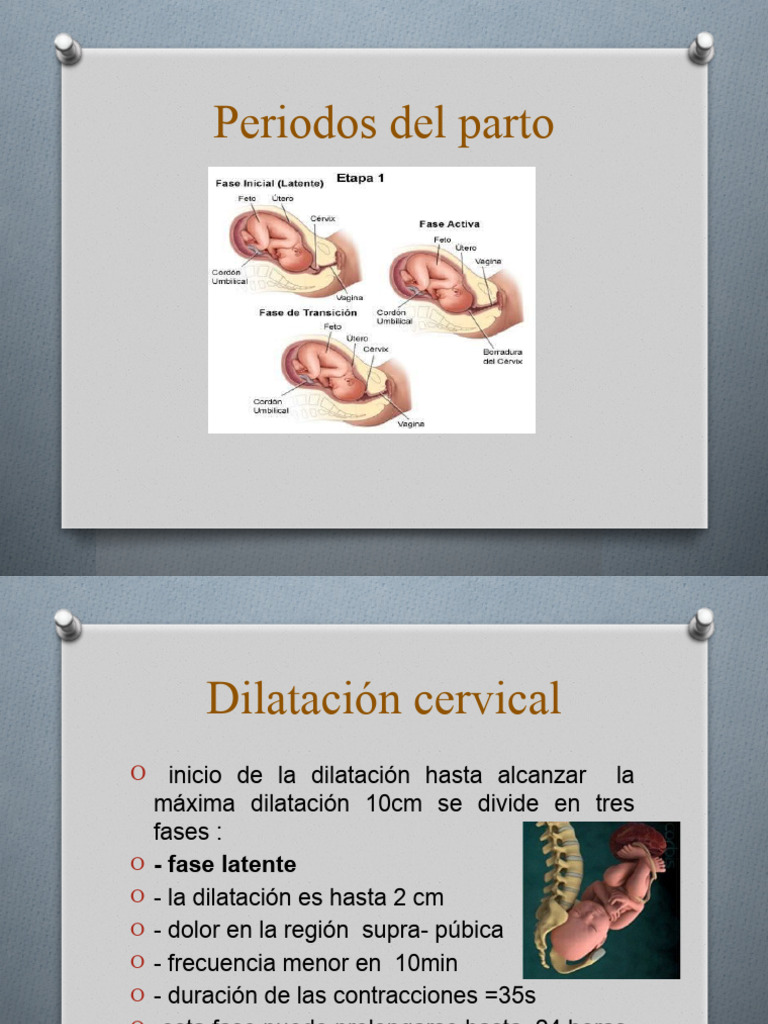 Periodos Del Parto | Descargar gratis PDF | Parto | Embarazo humano