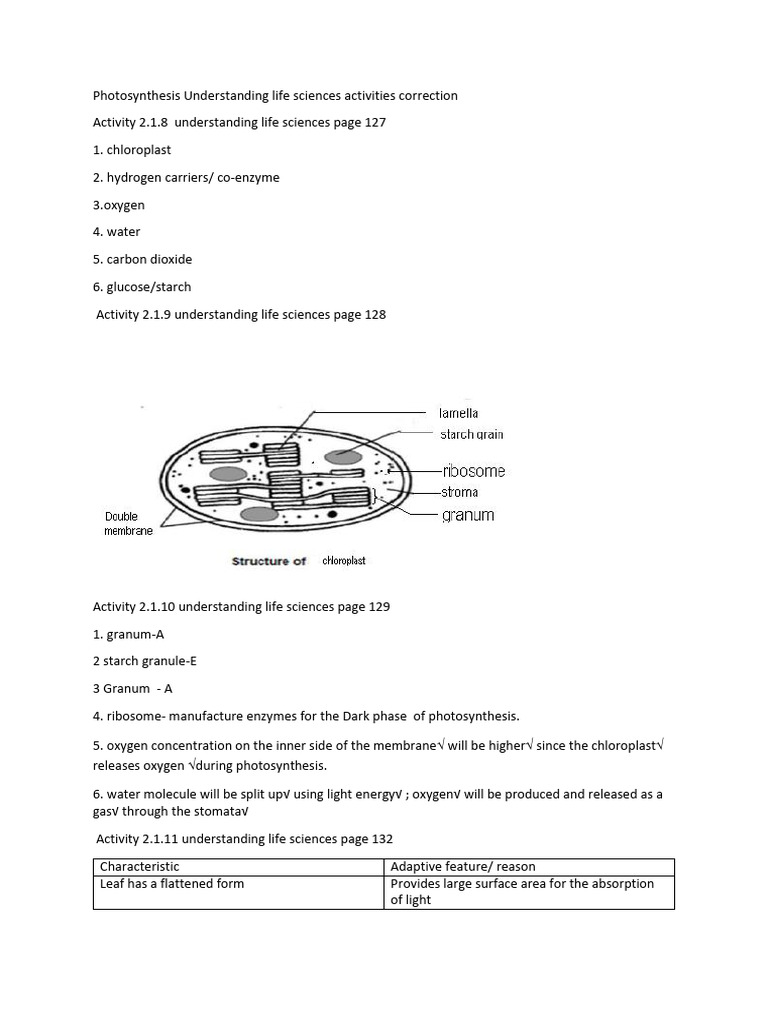 Photosynthesis Understanding Life Sciences Activities | PDF ...