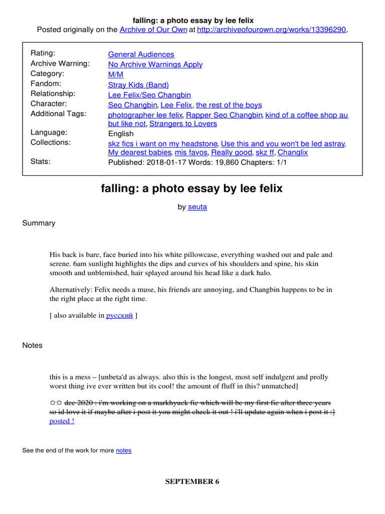 Falling A Photo Essay by Lee Felix | PDF