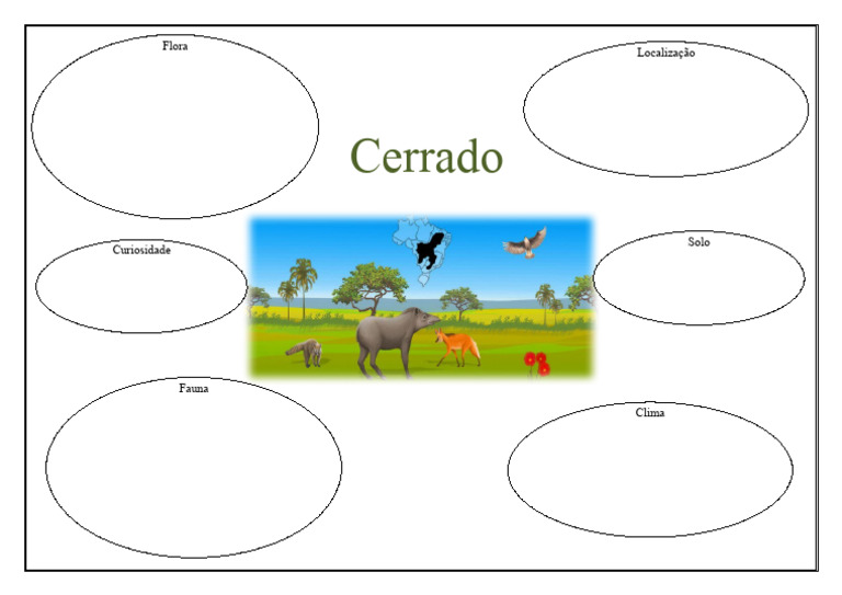 Mapa conceitual Cerrado | PDF