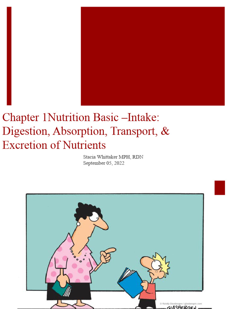 Basic Nutrition Chapt 1 2022 | PDF | Stomach | Digestion
