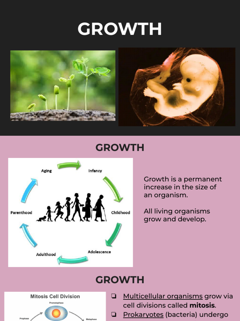 GROWTH | PDF | Seed | Germination