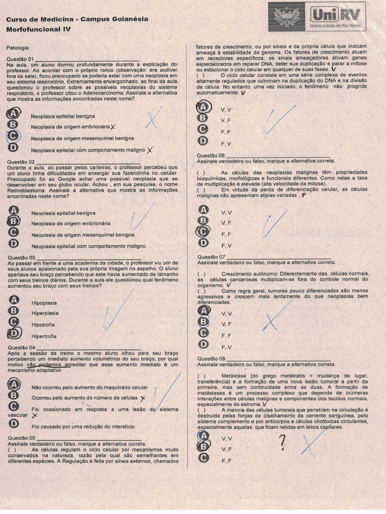 Morfo M1 2023-2 | PDF