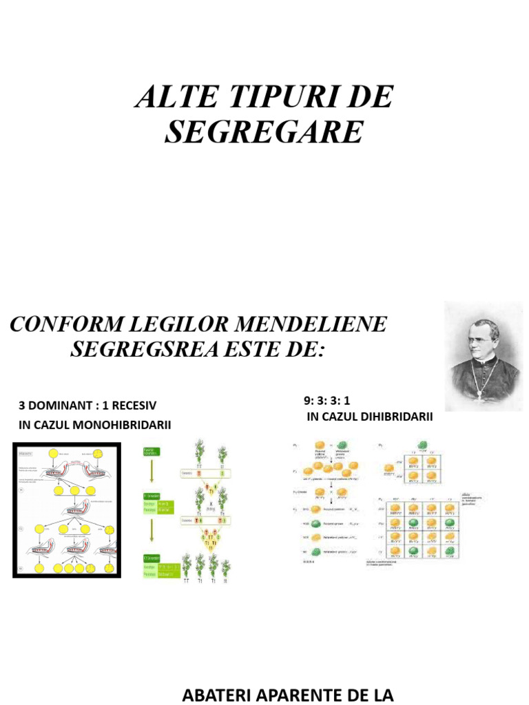 ALTE TIPURI DE SEGREGARE Uc | PDF