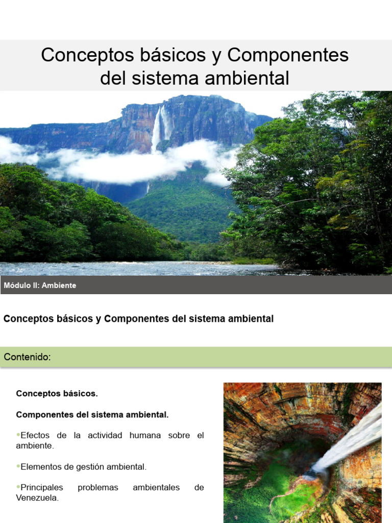 Conceptos y Componentes Del Sistema Ambiental | PDF | Entorno natural ...