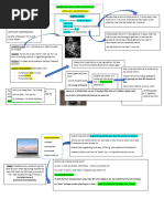 Die Laaste Renoster | PDF