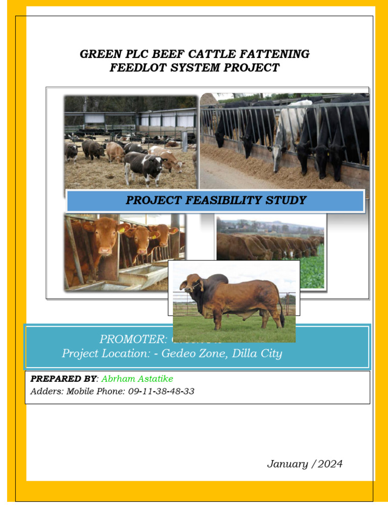 Green PLC Cattle Fattening Project Plan | PDF | Animal Feed | Meat