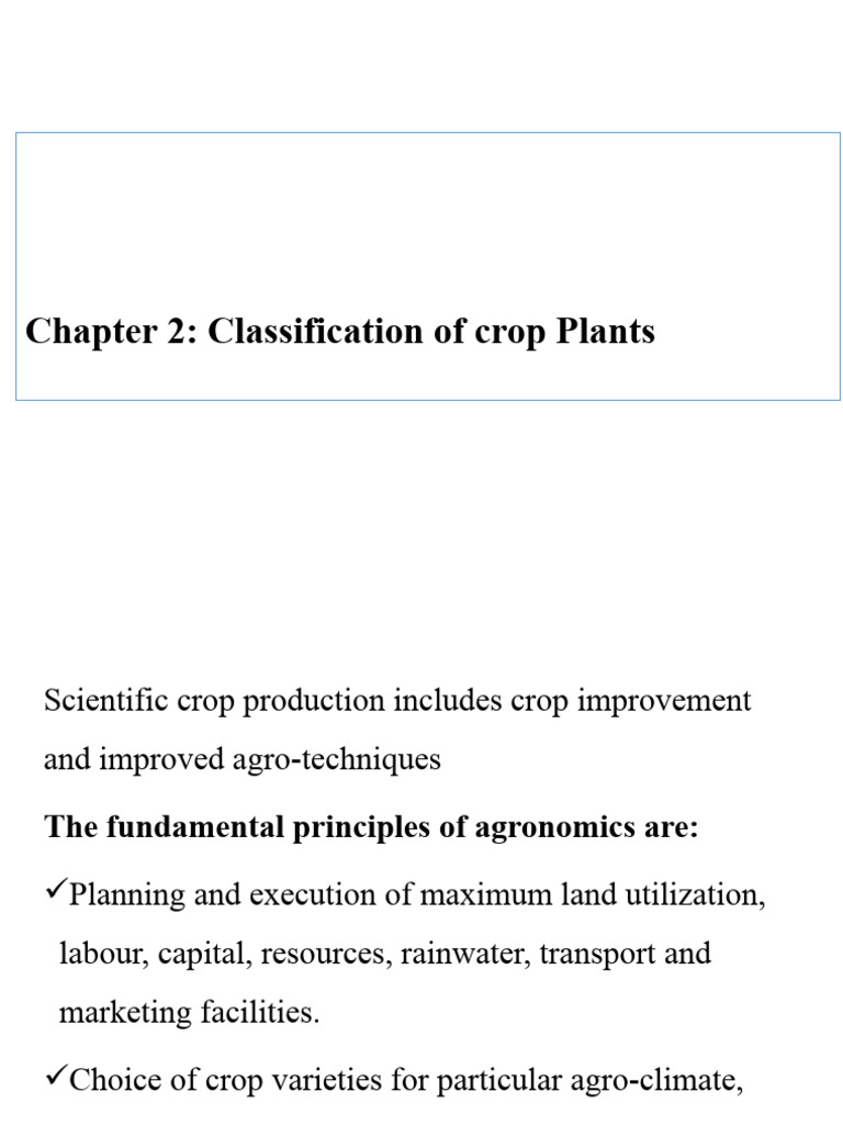 Classification of Crop Plants (Modified) | PDF | Legume | Crops