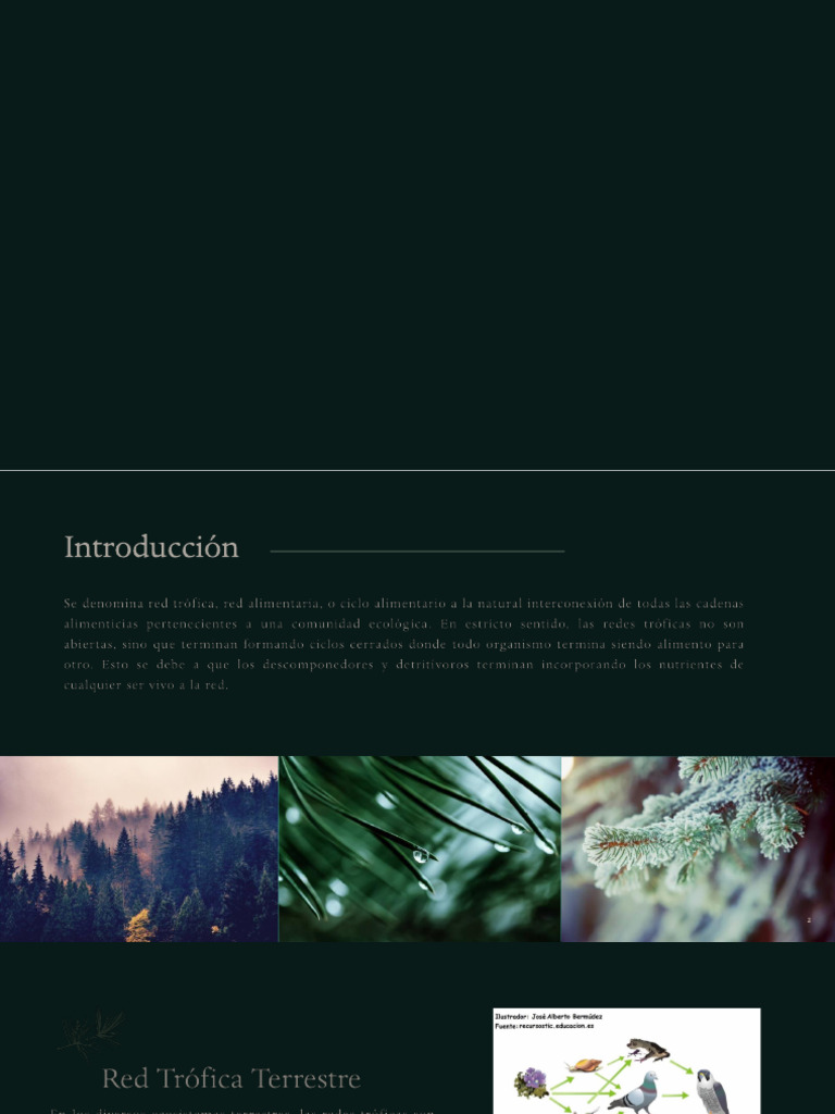 Annotated-Tarea 3 | PDF