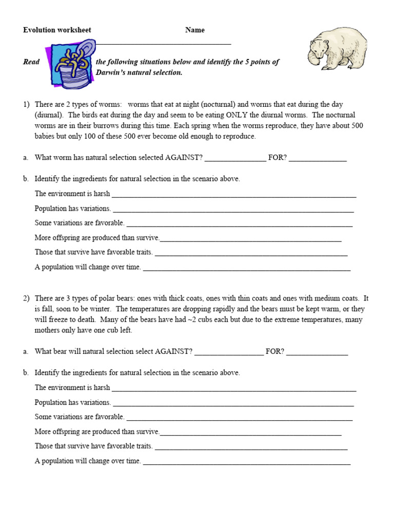 Evolution Packet | PDF | Natural Selection | Biological Evolution