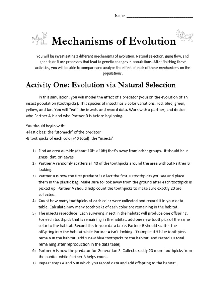 Exploring Evolutionary Mechanisms | PDF | Evolution | Color