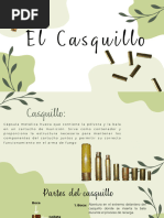 Anillo de Contusión y de Enjugamiento | PDF | Mecanica clasica | Cambio