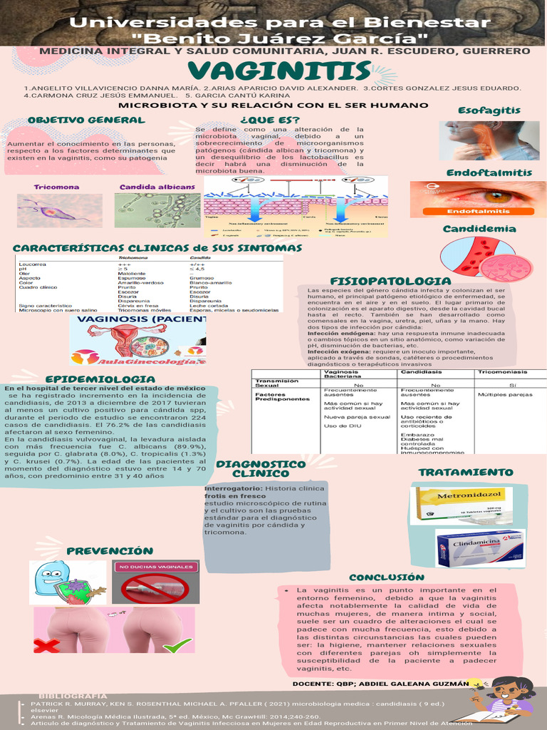 Proyecto Vaginitis | PDF | Candidiasis | Infección