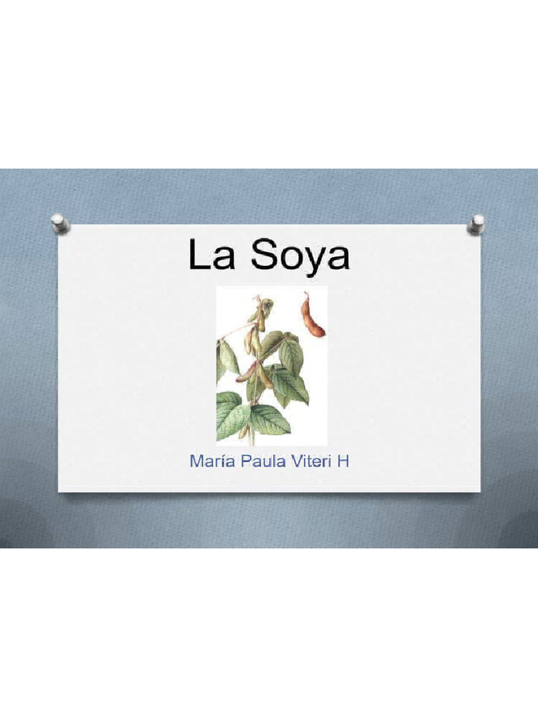 La Soya | PDF