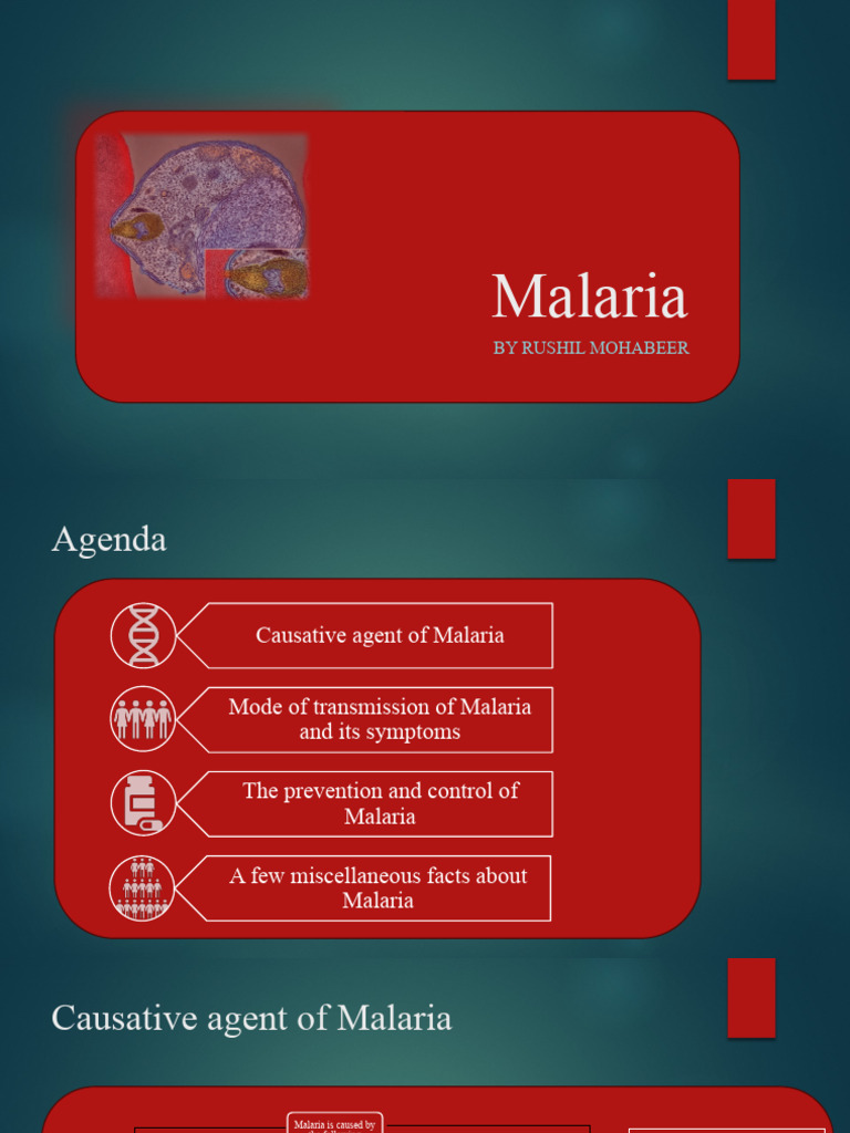 Malaria | PDF | Malaria | Plasmodium