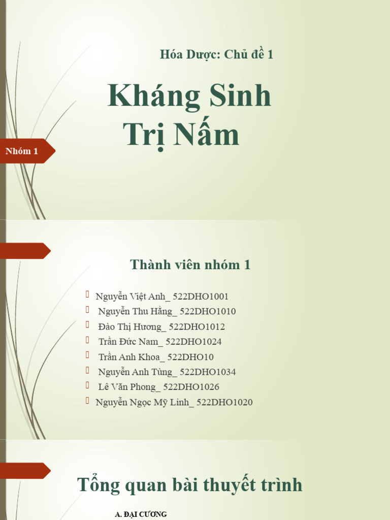Kháng Sinh nấm | PDF