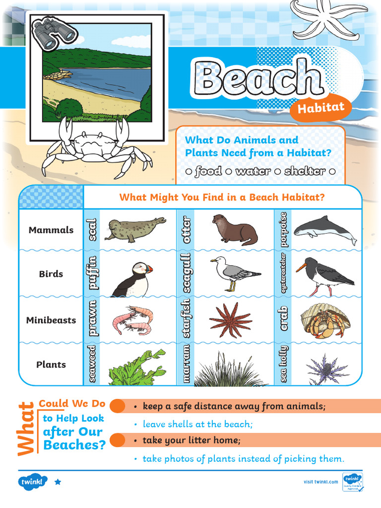 Beach Habitat Differentiated Reading Comprehension Activity | PDF ...