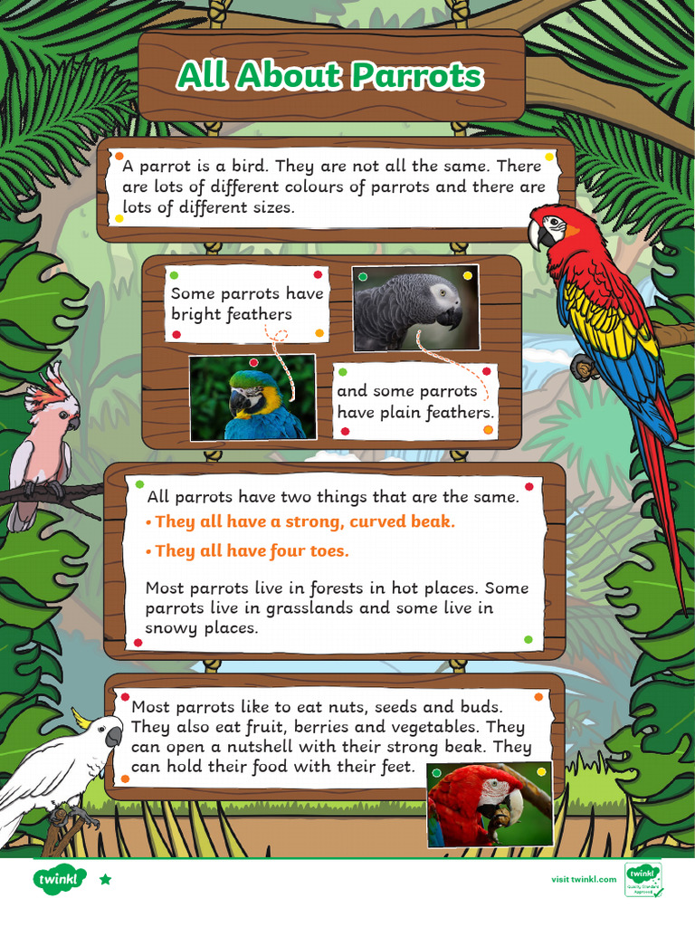 All About Parrots Differentiated Reading Comprehension Activity | PDF ...