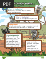 Koala Life Cycle Explained for Kids | PDF