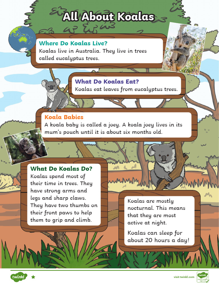 All About Koalas Differentiated Reading Comprehension Activity ...