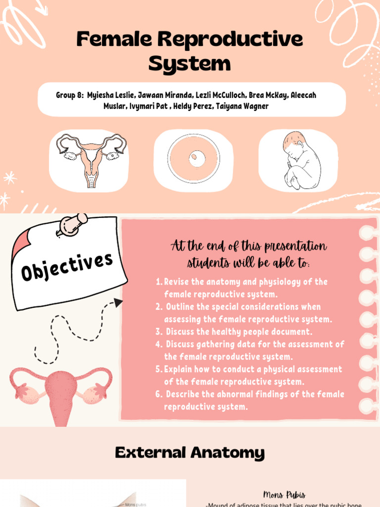 Female Reproductive System | PDF | Menstrual Cycle | Ovary