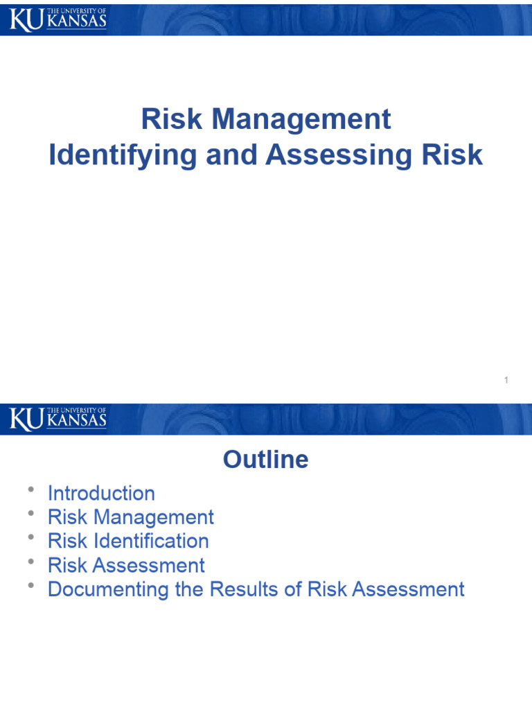 Risk Identification and Assessment | PDF | Risk Management | Risk