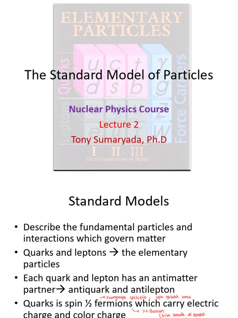 Understanding the Standard Model of Particles | PDF | Quark | Standard ...