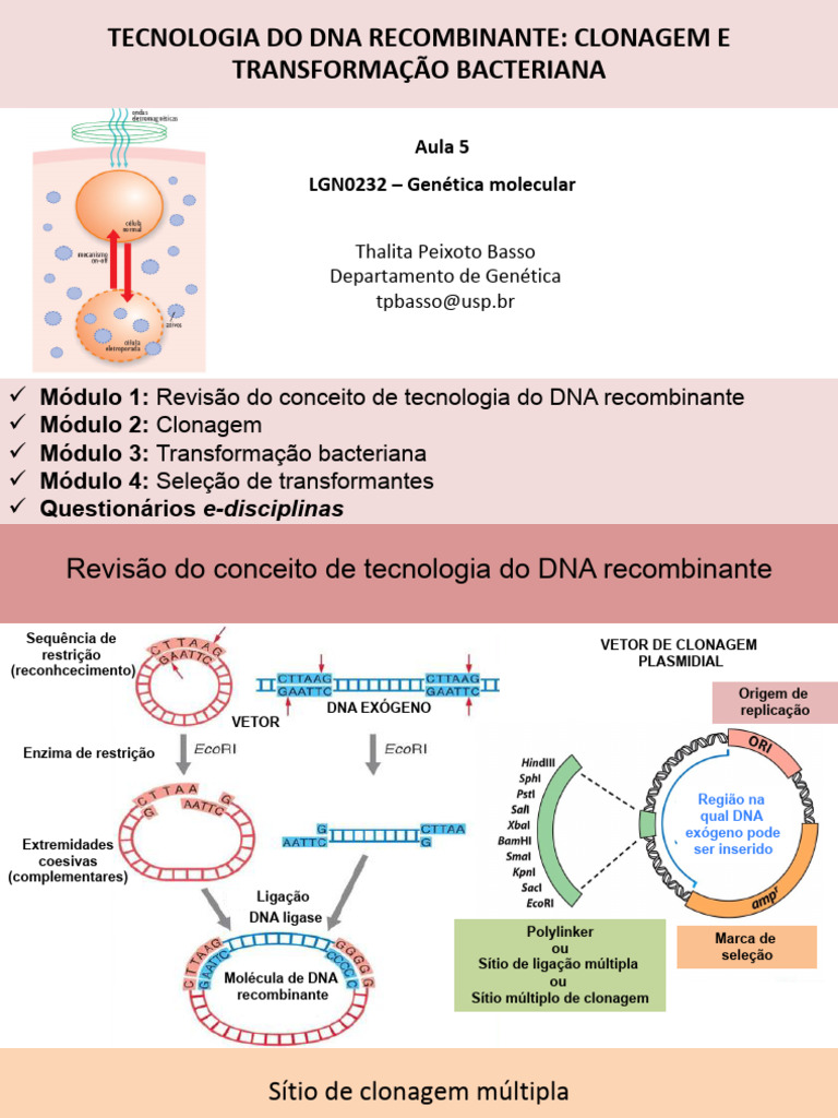 Aula 5 - Tecnologia do DNA recombinante Transformacao e Clonagem | PDF | DNA recombinante | DNA