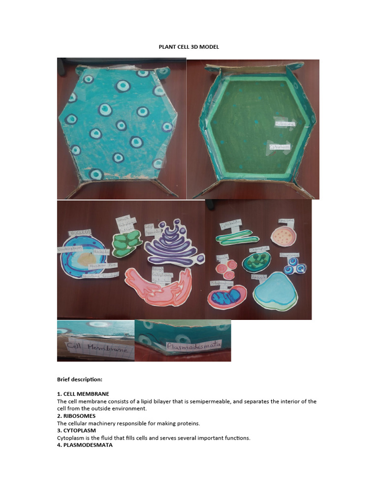 Definitions For The Project | PDF | Cell (Biology) | Endoplasmic Reticulum