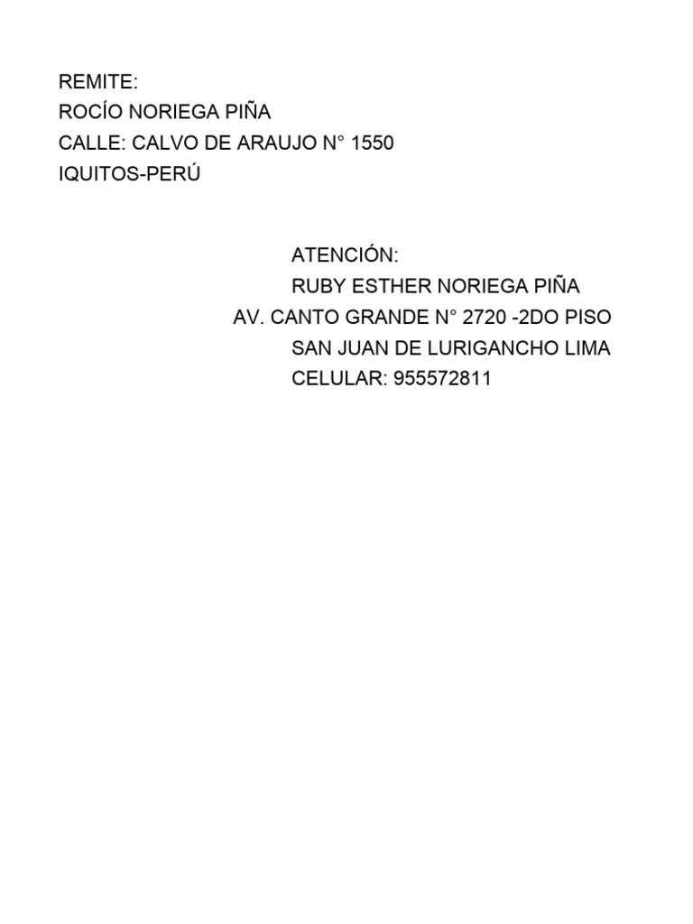 REMITE | PDF