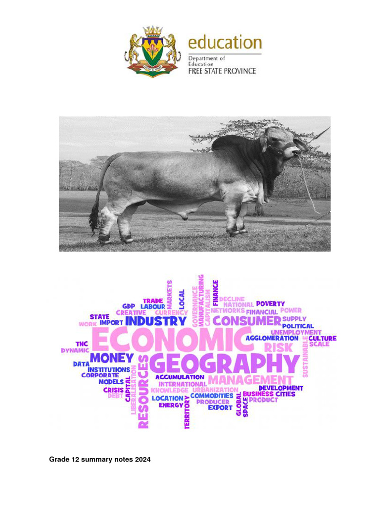 GRADE 12 ECONOMIC GEOGRAPHY Notes 2021-1 | PDF | Coal | Agriculture