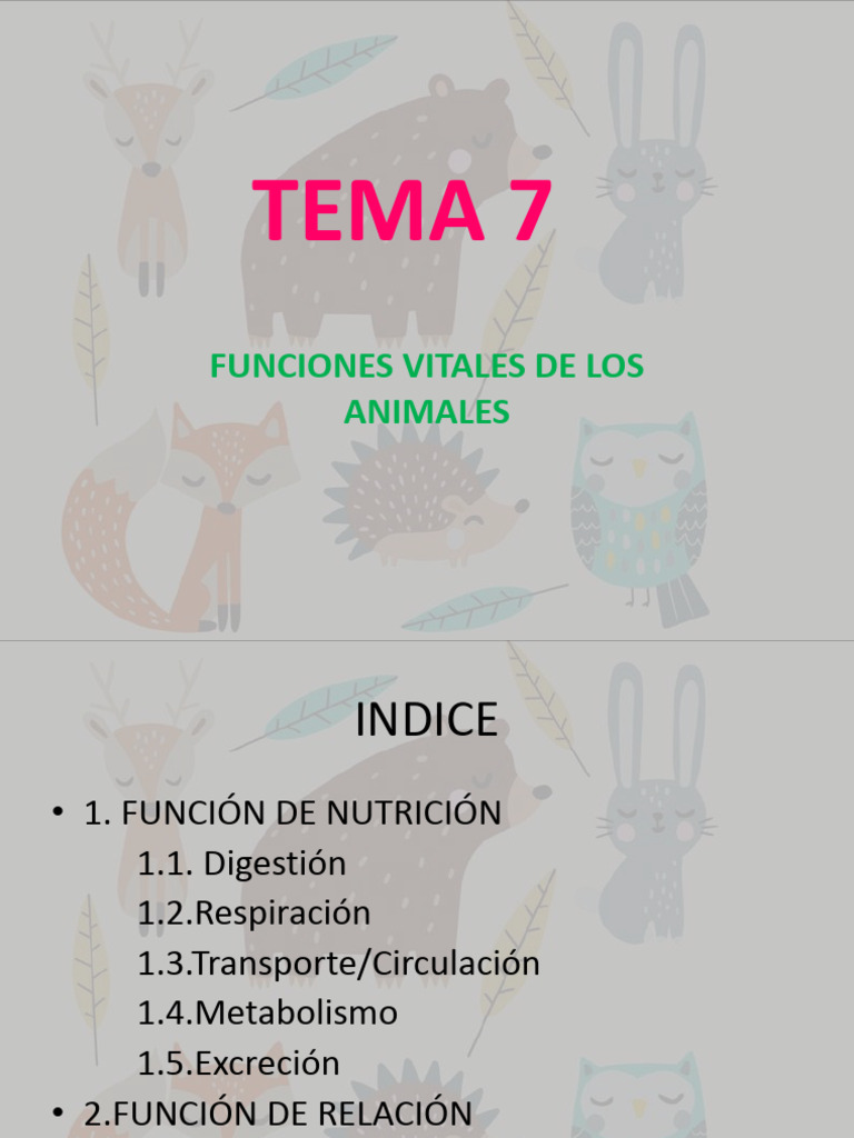 Tema 7 Funciones Vitales | PDF | Digestión | Sistema digestivo humano
