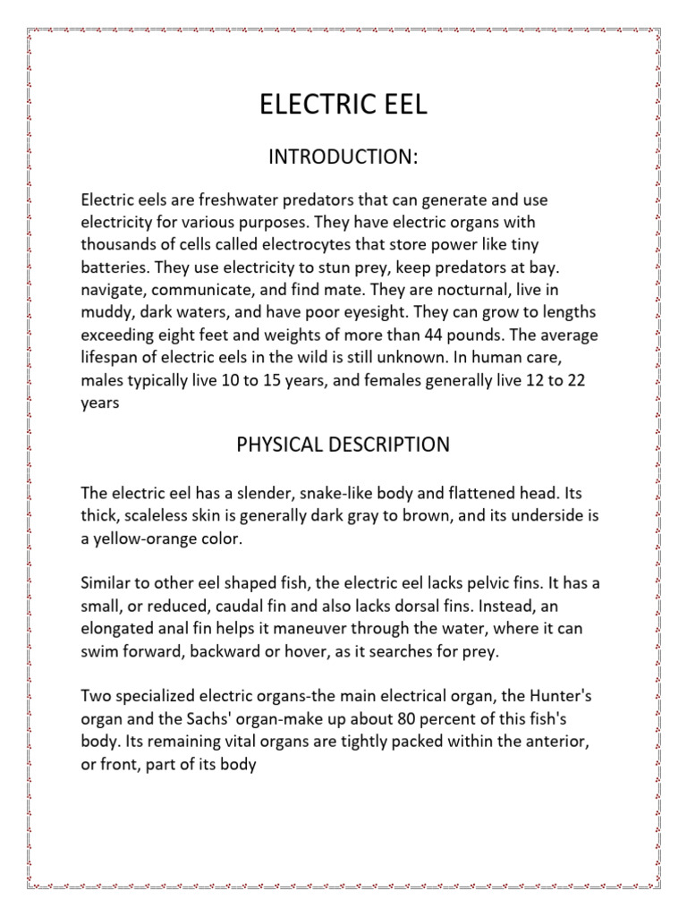 Eel PDF | PDF | Zoology